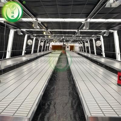 Cina LED Lighting System Light Deprivation Greenhouse for Automatic Pest Control Needs in vendita