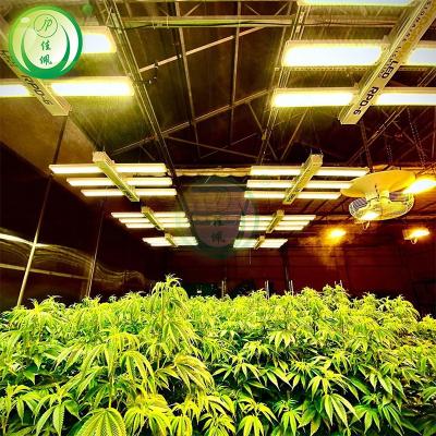 Cina LED Lighting System Light Deprivation Greenhouse for Automatic Pest Control Needs in vendita