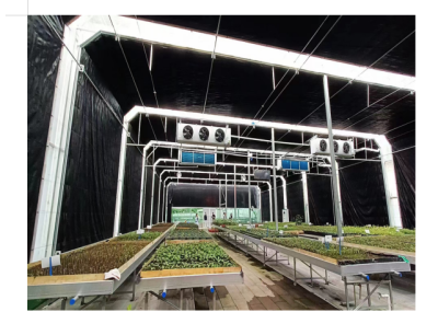 Cina Irrigation Light Deprivation Greenhouse with Complete Blackout and Automatic System in vendita