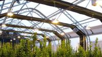 China Automatic Temperature Control Light Deprivation Greenhouse for Controlled Environment for sale