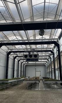 Cina Irrigation Light Deprivation Greenhouse with Complete Blackout and Automatic System in vendita
