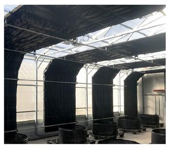 Cina Advanced Technology Light Deprived Greenhouse for Pest Control in vendita