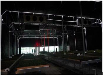 Cina Advanced Technology Light Deprived Greenhouse for Pest Control in vendita