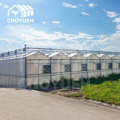 Cina Serra a pellicola multi-spans resistente al vento con sistema di ventilazione in vendita