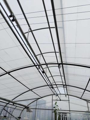Cina Serra a doppio strato con pellicola PE multi-spans con sistema idroponico in vendita
