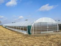 China High Wind Resistance Single Span Greenhouse Customized Size for sale