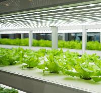China pH Control Vertical Hydroponic Growing System for Indoor Crop Production for sale