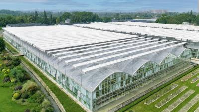 Cina Serra a pellicola multi-spans resistente al vento con sistema di ventilazione in vendita