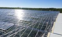China Low Maintenance Glass Greenhouse for Rectangular Spaces for sale