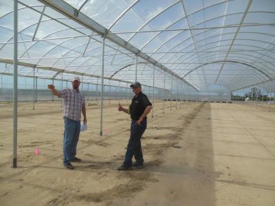 Cina Serra per giardino idroponica a pellicola multi-span 10x30m personalizzabile in vendita