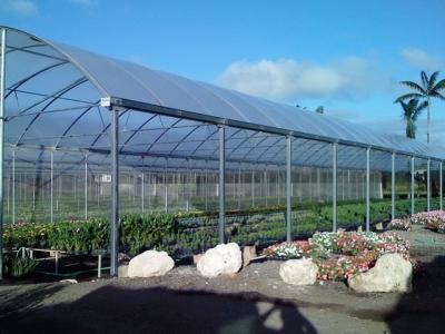 Cina Serra per giardino idroponica a pellicola multi-span 10x30m personalizzabile in vendita