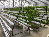 China pH Control Vertical Hydroponic System NFT Gully Channel 4x8 Flood Tray for sale