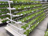 China pH Control Vertical Hydroponic System NFT Gully Channel 4x8 Flood Tray for sale