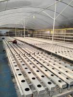 China Full Hydroponic System Hydroponic Growing Tower Zip Channel HID Lighting for sale
