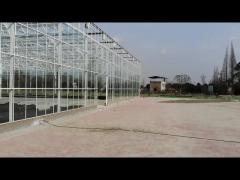Glass Glass Venlo Agricultural Greenhouse