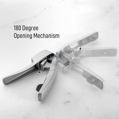 Cina 2 in 1 Ginger Chopper Aluminum Alloy Garlic Press E Garlic Slicer Con Logo Personalizzato in vendita