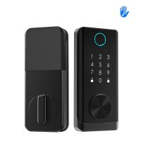China Waterproof Touch Keypad Access Control Card Reader with App 5-in-1 Smart Lock 1kg for sale