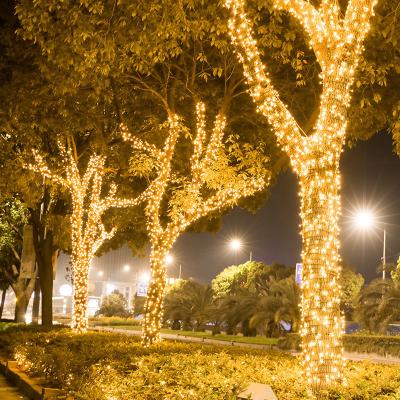 Cina 10 metri LED de Navidad Luci natalizie per decorazioni natalizie in vendita