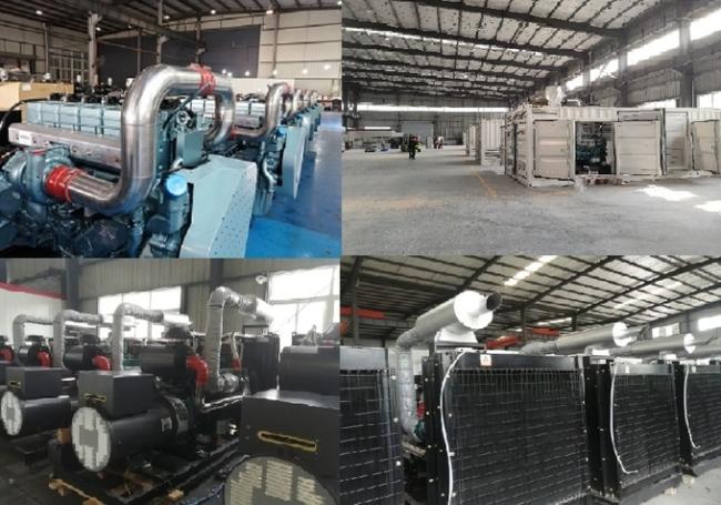 300kW Biogas CHP Cogeneration 0