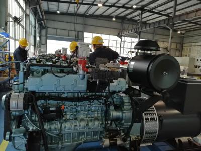 China 250kW van het het Aardgasbiogas van LPG de Elektriciteitsgenerator 1500RPM Te koop