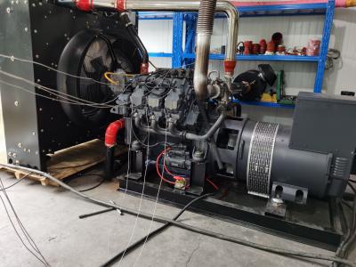 China Generador de poder del gas natural del generador 260KW del propano de 1800RPM LPG en venta