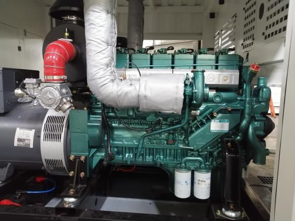 Générateur de gaz naturel du générateur 1500RPM 250KW de propane de LPG de biogaz