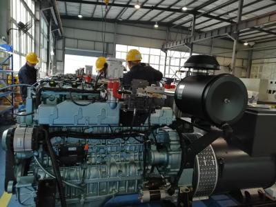China Steyr T12 CBM Natural Gas Powered Generator 200KW Natural Gas Generator for sale