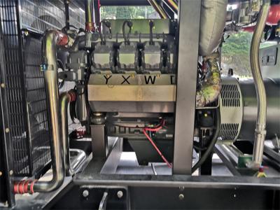 Cina Generatore industriale del gas di Starlight dei generatori del gas del giacimento di petrolio di Deutz V8 330KW in vendita