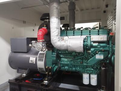 Cina Centrale elettrica 100-120kW di cogenerazione di calore & di potere del biogas in vendita