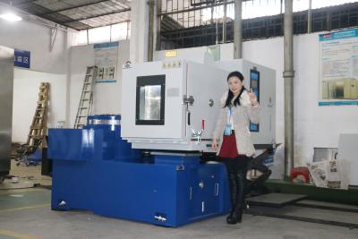 中国 大規模な勢力の温度の湿気の振動試験機3の軸線 販売のため