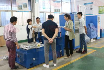 中国 自動車用バッテリー向けECE R100規格 垂直振動試験機 販売のため