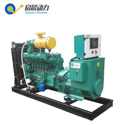 Cina Biogas Electric Generator Biogas Power Engine Generator in vendita