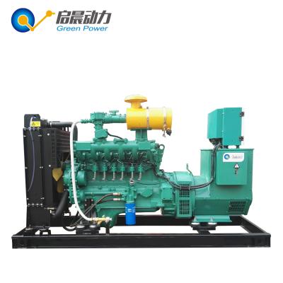 Cina Biogas Electric Generator Biogas Power Engine Generator in vendita