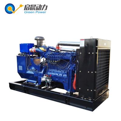 Cina 100KW Biogas Generator Price List in vendita