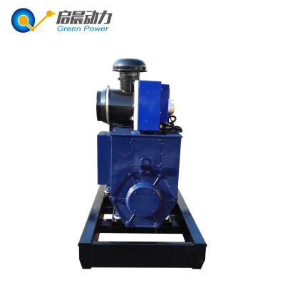 Cina 100KW Biogas Generator Price List in vendita