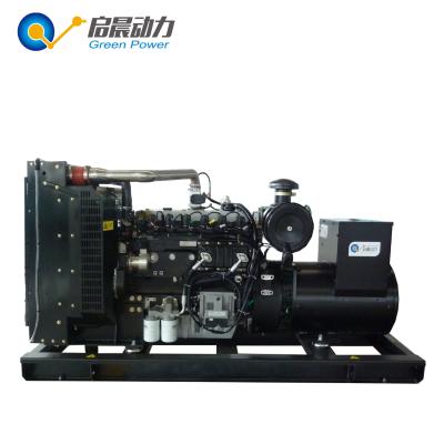 China Biogas Generator 10KW Price Te koop