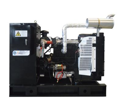 Cina 30KW Biogas Generator for Sale Small Biogas Generator in vendita