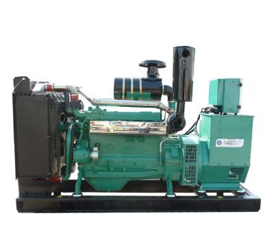 Cina Biogas Generator for Sale 300KW 600KW 800KW in vendita