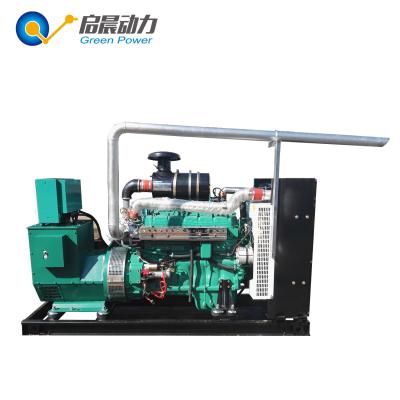 Cina biogas generator set for biogas plant producing electricity in vendita