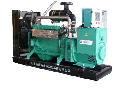 Cina 100kw Biogas Generator Menthane Generator for Pig Farm in vendita