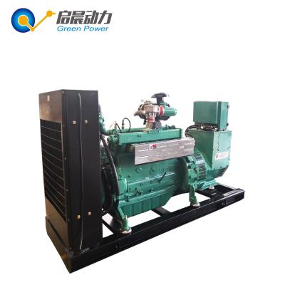 Cina Stable Methane Biogas Generator for Cow Pig Farm in vendita