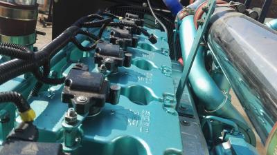 Cina Electric gas generator with ATS CHP in vendita
