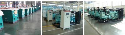 Cina Brand New Natural Gas Generator with Good Alternator in vendita