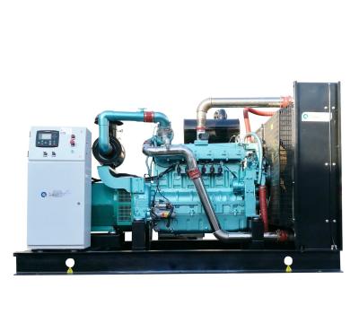 Cina 10kw-300kw CNG LNG Generator for Home Use in vendita