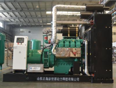 Cina Gas Power Generator Turbine Generator Biogas/Natural Gas/LPG/Propane Generator 250kw in vendita