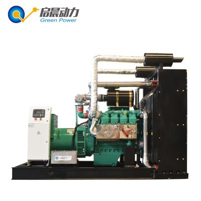 Cina Gas Power Generator Turbine Generator Biogas/Natural Gas/LPG/Propane Generator 250kw in vendita
