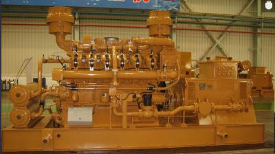 Cina High Safety Natural Gas LPG Generator With CHP Cogeneration System in vendita