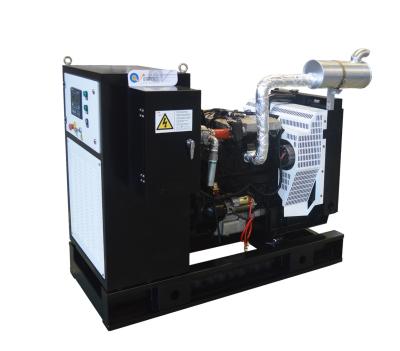 Cina Brushless LPG Generator Sets AC Three Phase Environmental Friendly in vendita