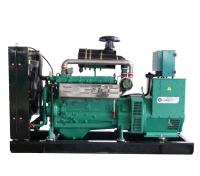 China Brushless LPG Generator Sets AC Three Phase Environmental Friendly for sale
