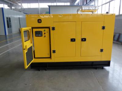 Cina Power Generator Silent Biogas Generator Factory Supplier in vendita